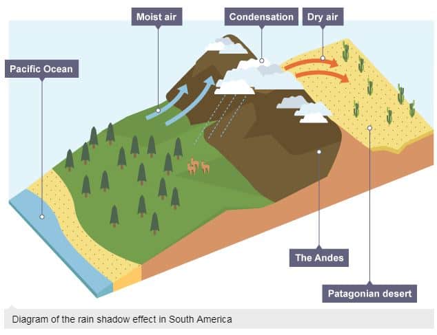 Desert Ecosystems - 12StoryLibrary.com