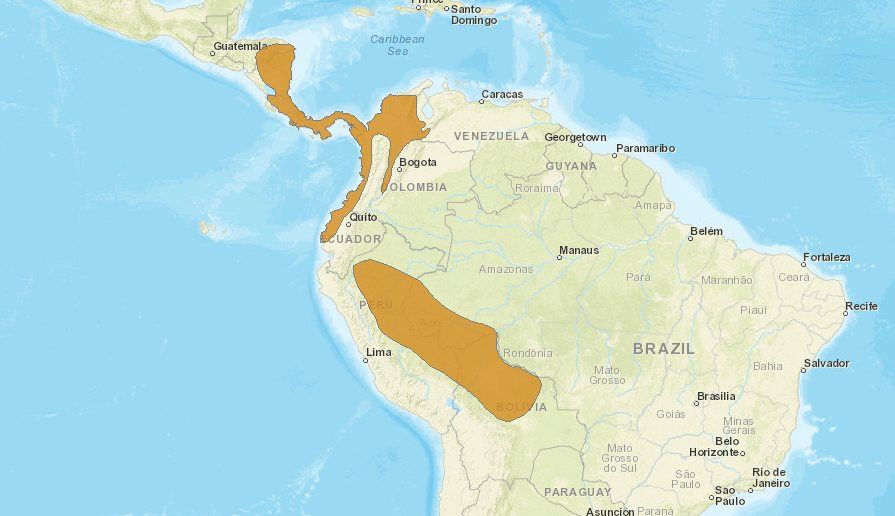 Sloths Are Awesome - 12StoryLibrary.com