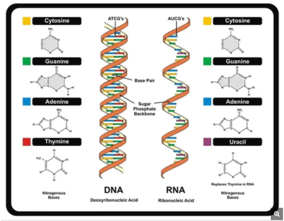 The 12 Most Influential Scientific Discoveries of All Time ...