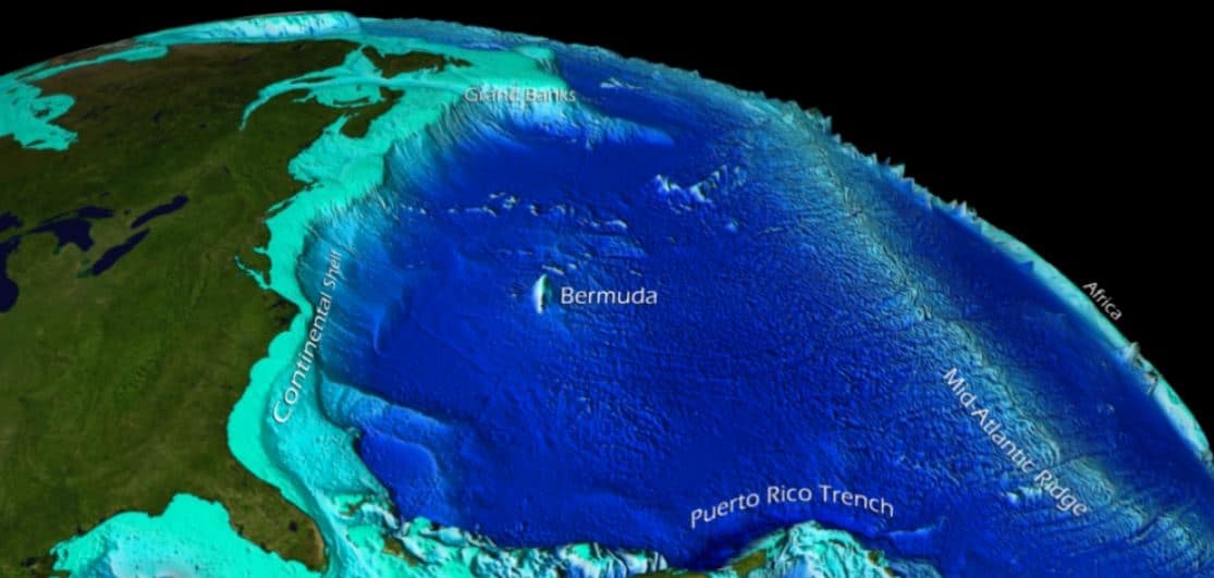 Marine Ecosystems - 12StoryLibrary.com