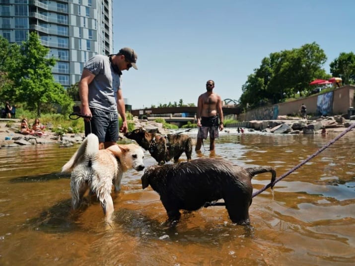 Doctors warn of pavement burns during extreme heat wave in U.S. West ...